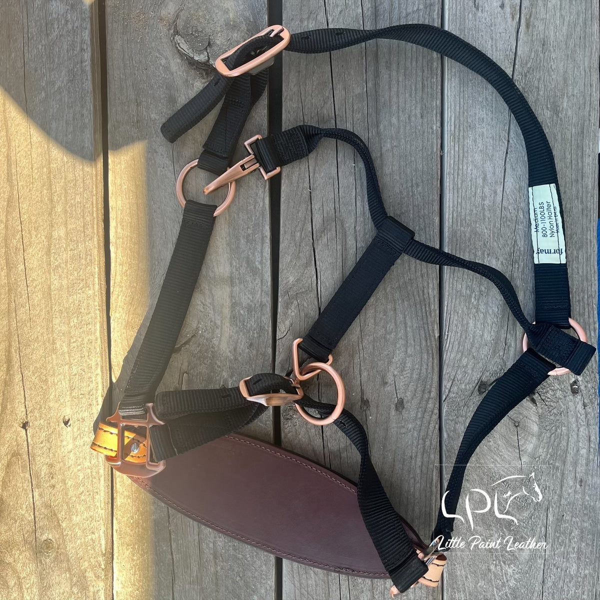 Black Color Shift Dragon Halter – Little Paint Leather