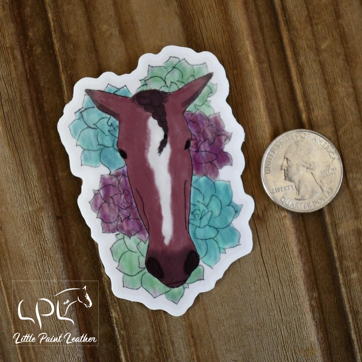 Chestnut and Succulents Sticker – Little Paint Leather